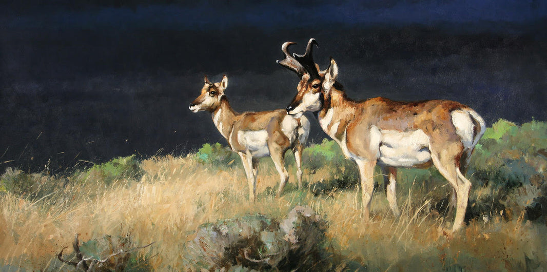 Luke Frazier Fine Art